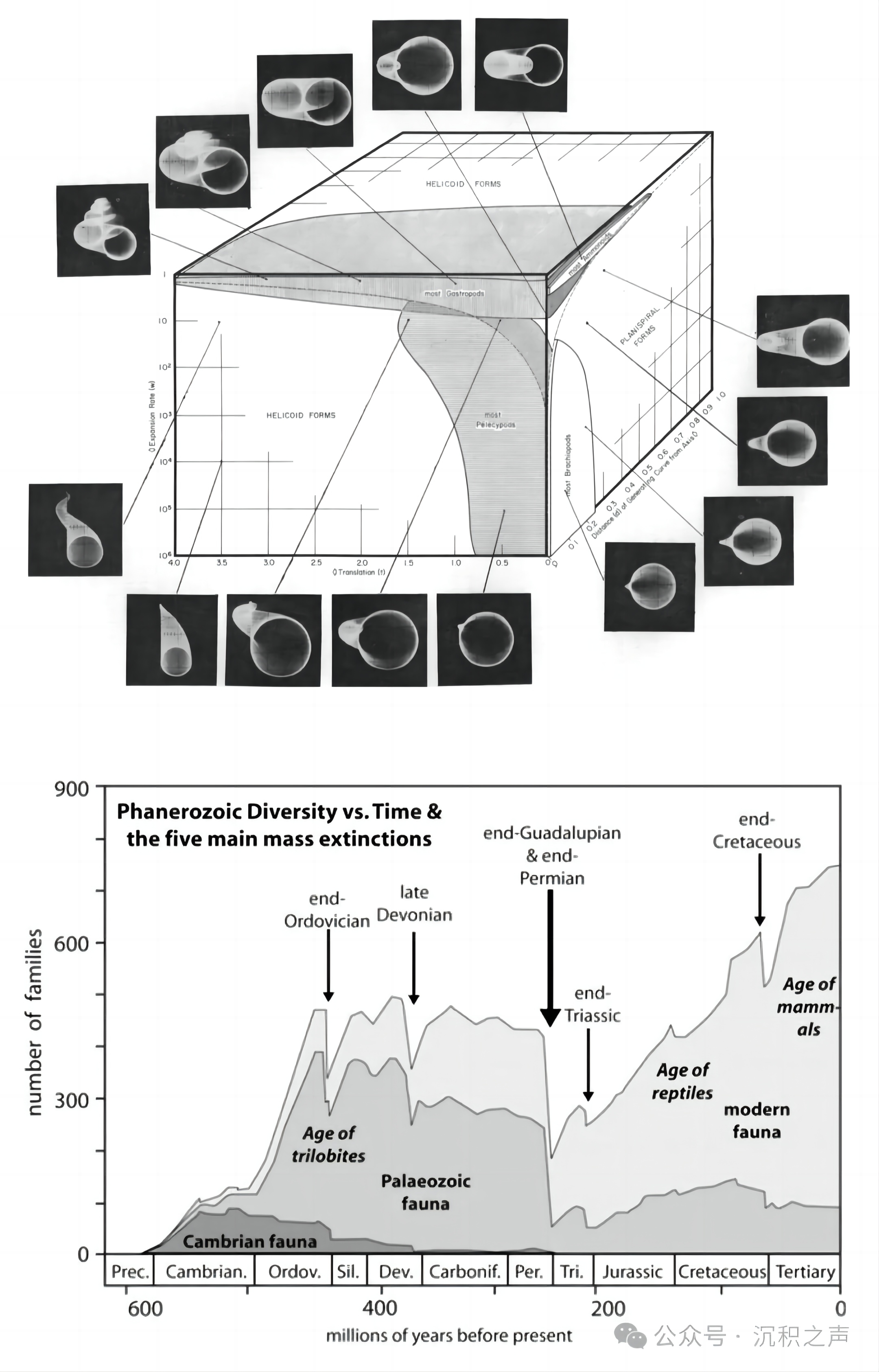 国家自然博物馆